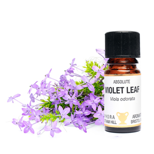 Violet Leaf Absolute 5mls